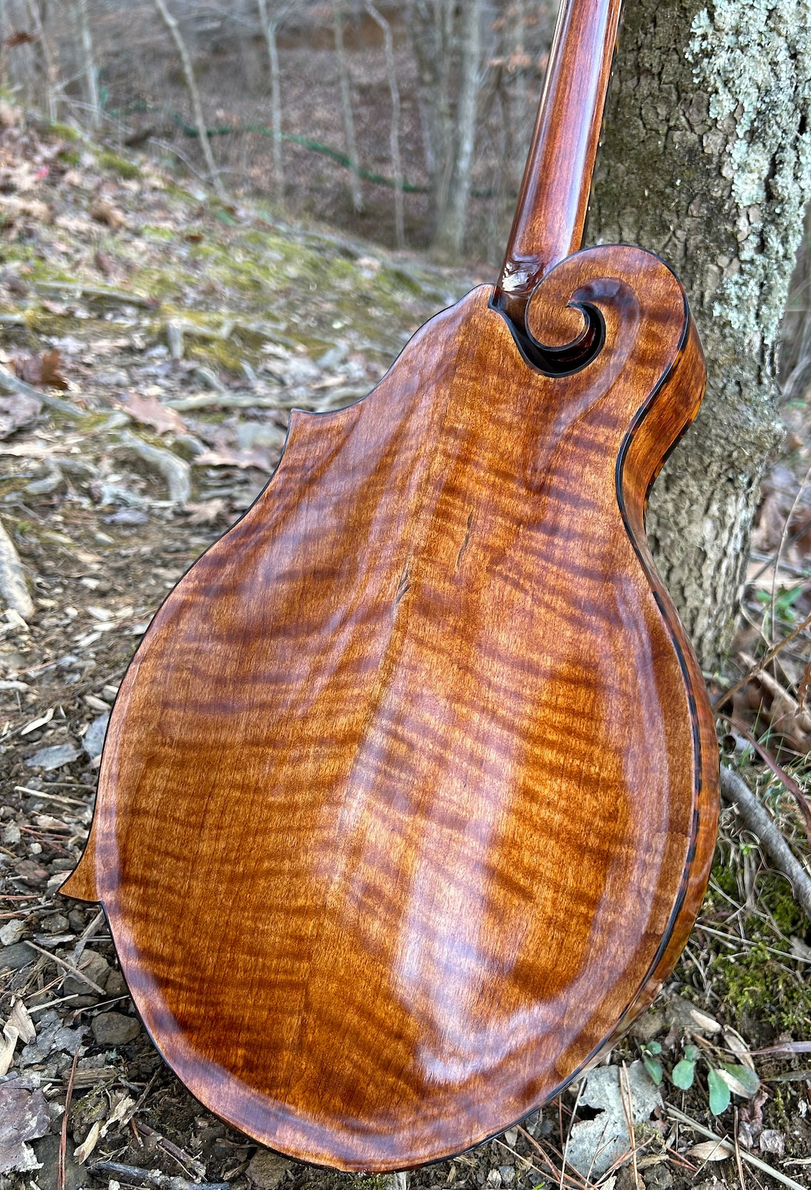 Dubova F-style Mandolin - Etsy