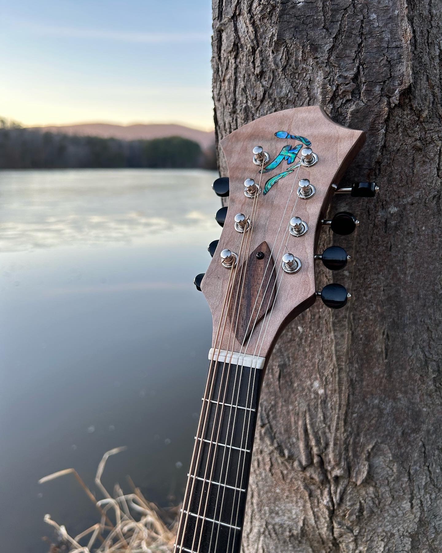 Custom, Handcrafted Mandolin. Dubova Mandolin. - Etsy