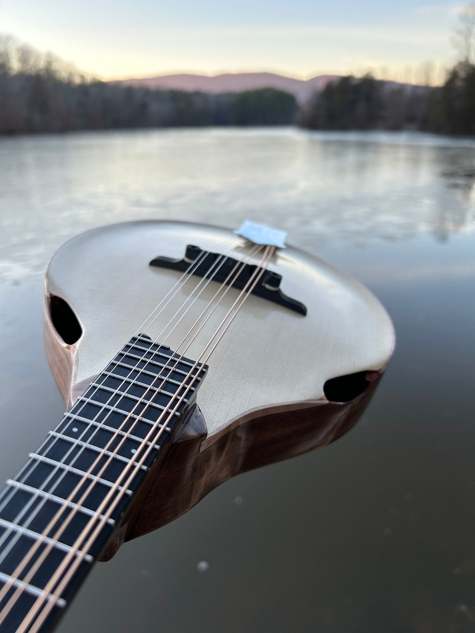 Custom, Handcrafted Mandolin. Dubova Mandolin. - Etsy