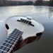 Custom, Handcrafted Mandolin. Dubova Mandolin. - Etsy