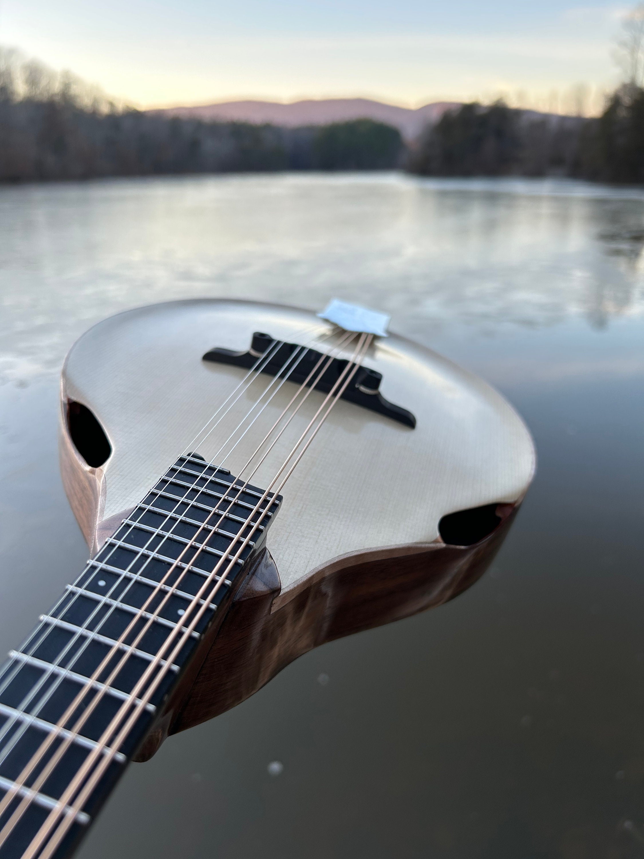 Custom, Handcrafted Mandolin. Dubova Mandolin. - Etsy