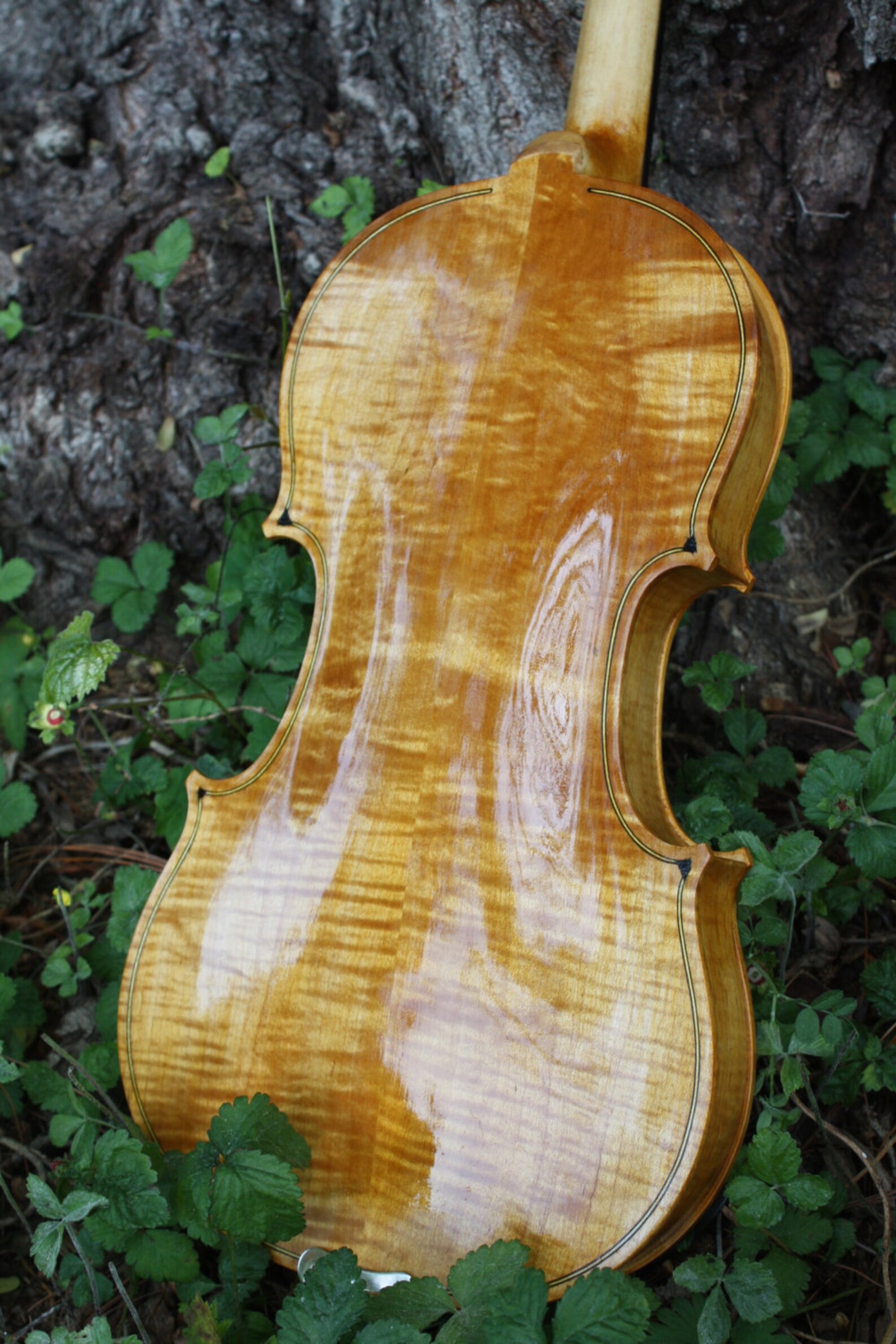 Dubova Violin. Custom Violin. Curly Maple Backboard. Hand made | Etsy