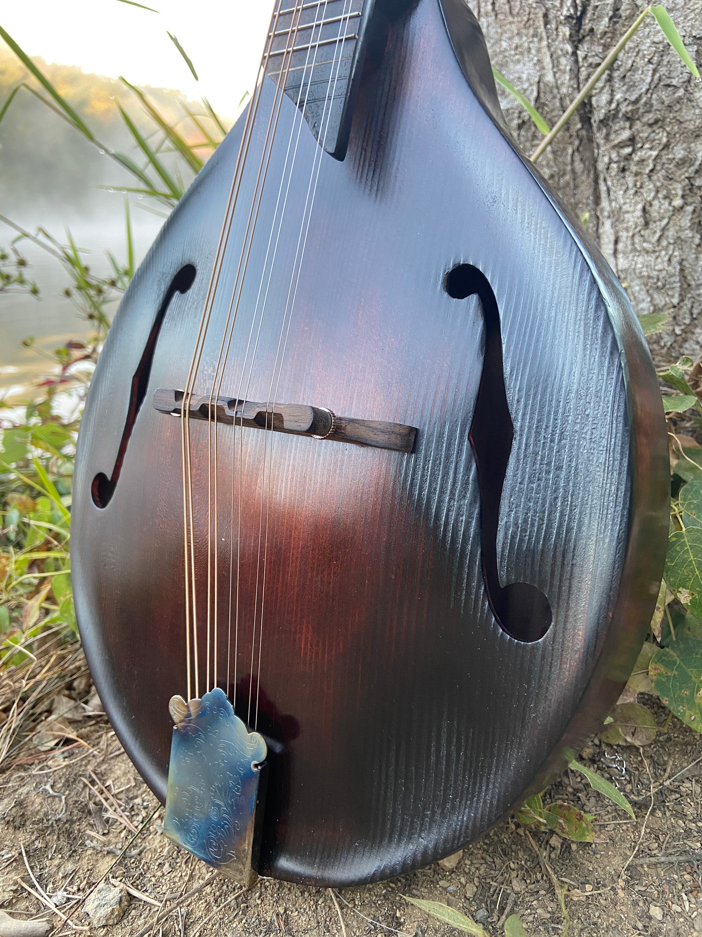 Archtop A-style Mandolin - Etsy