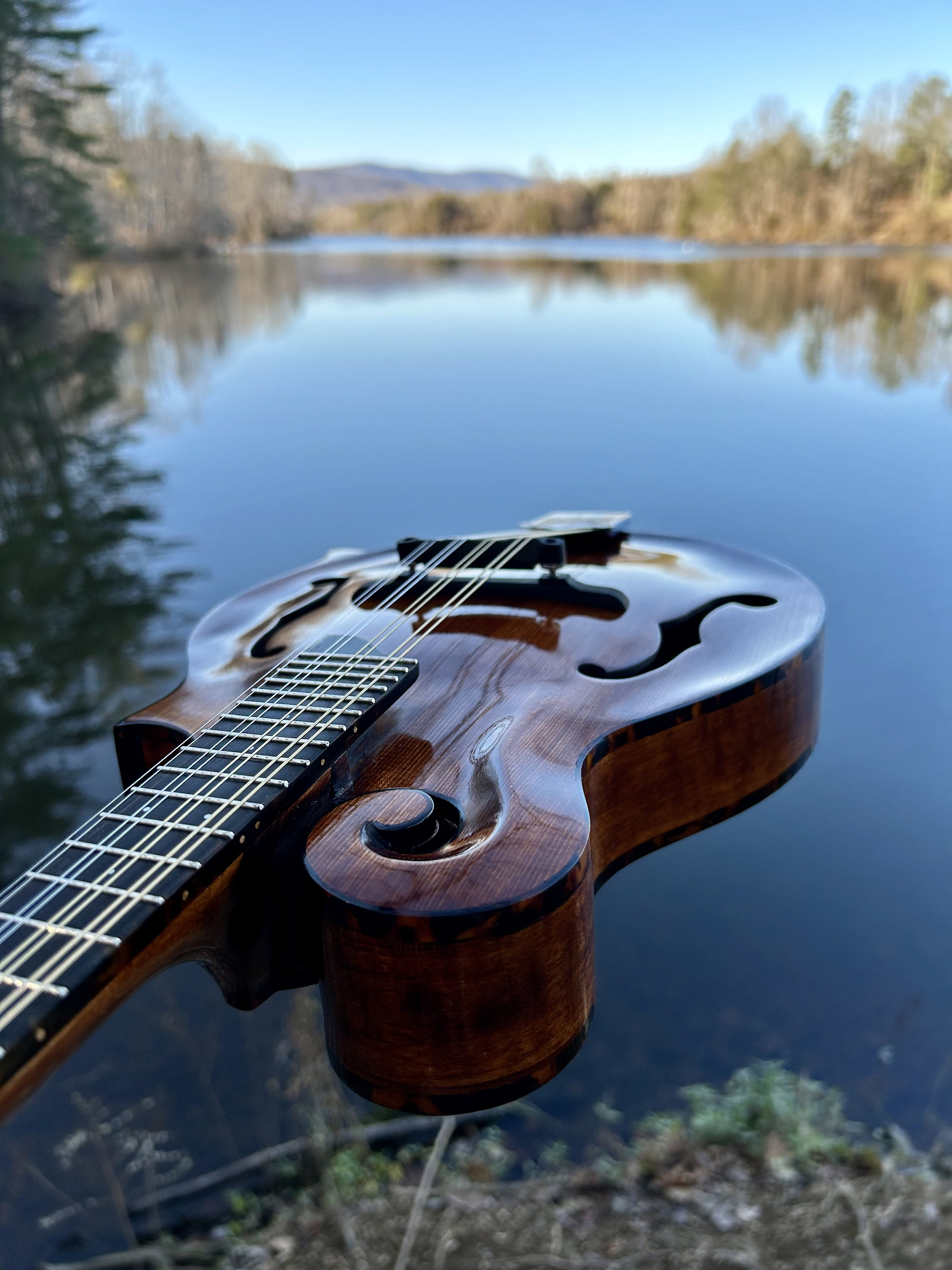 Dubova F-style Mandolin - Etsy