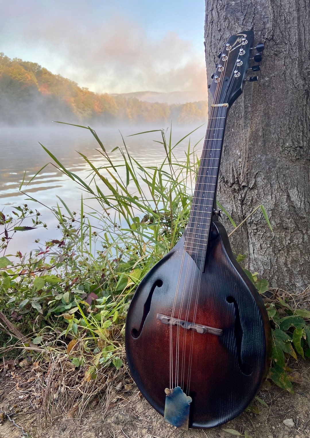 Archtop A-style Mandolin - Etsy