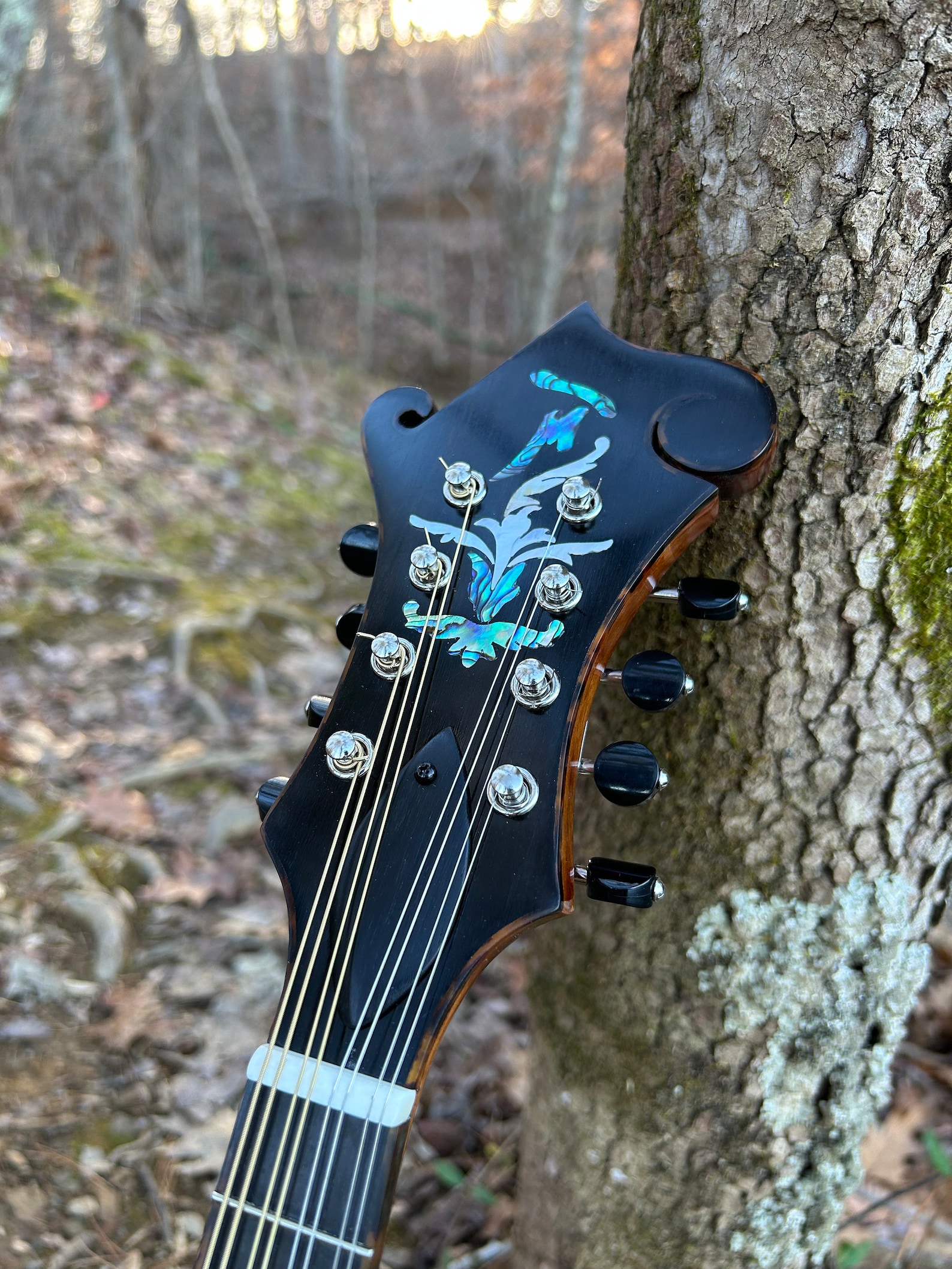 Dubova F-style Mandolin - Etsy