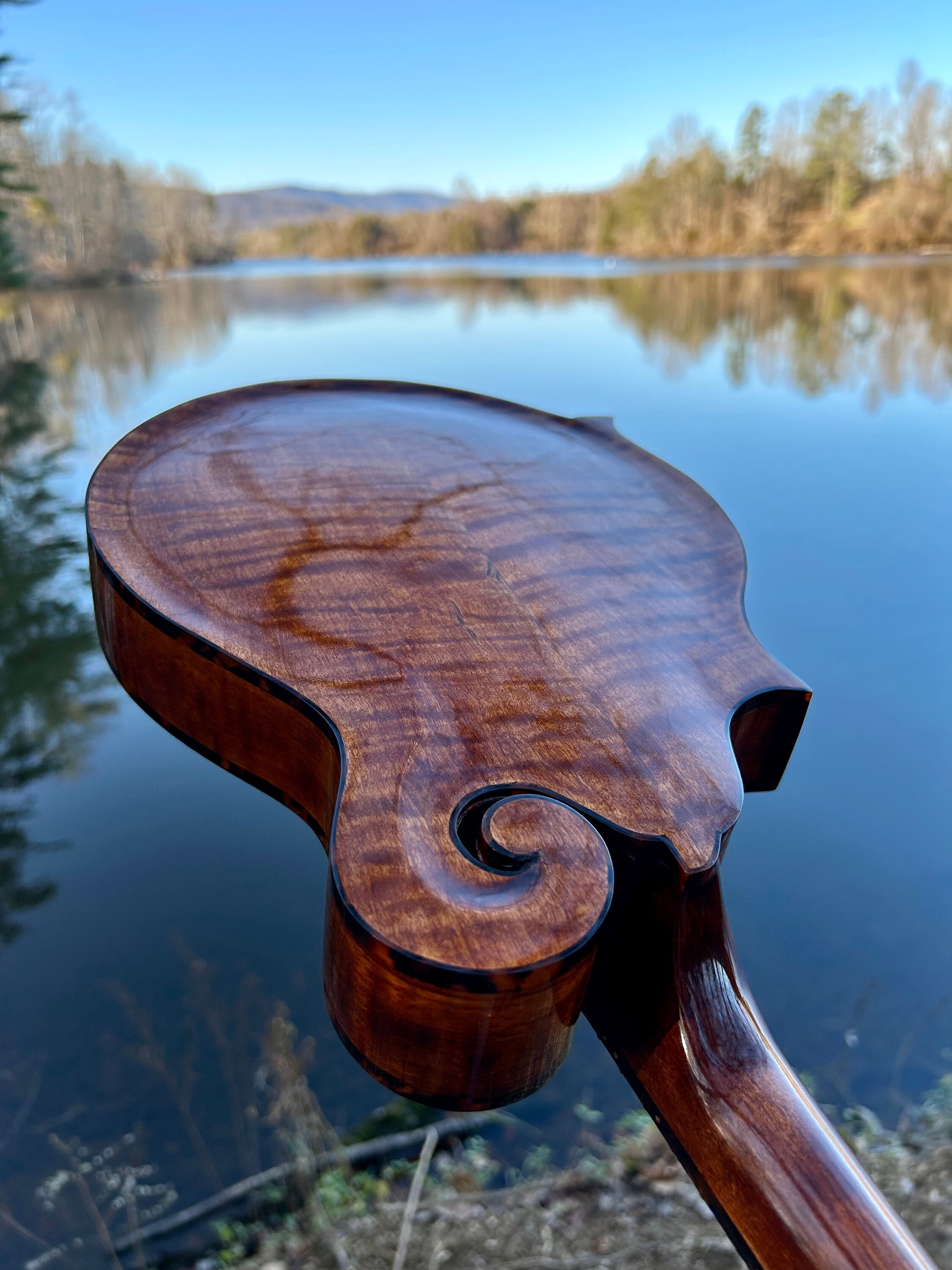 Dubova F-style Mandolin - Etsy