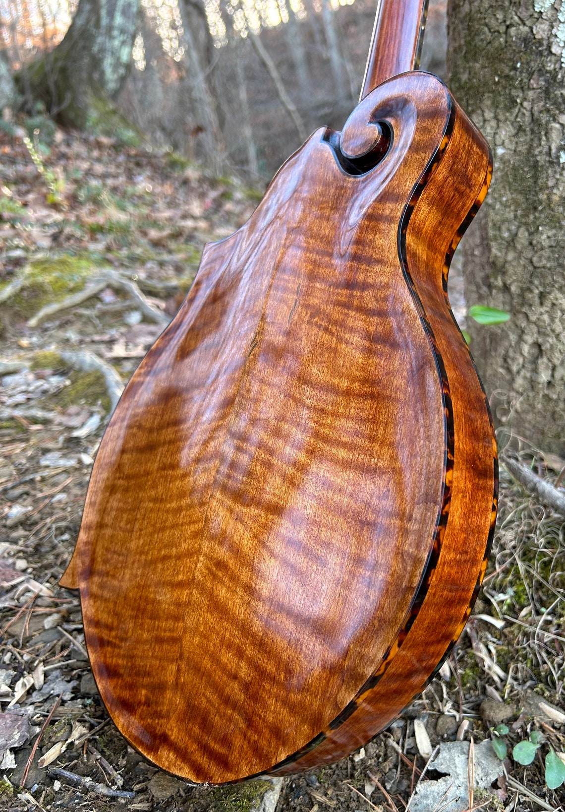 Dubova F-style Mandolin - Etsy