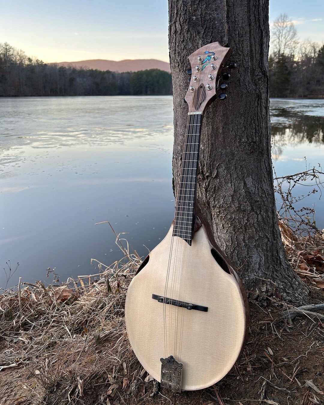 Custom, Handcrafted Mandolin. Dubova Mandolin. - Etsy