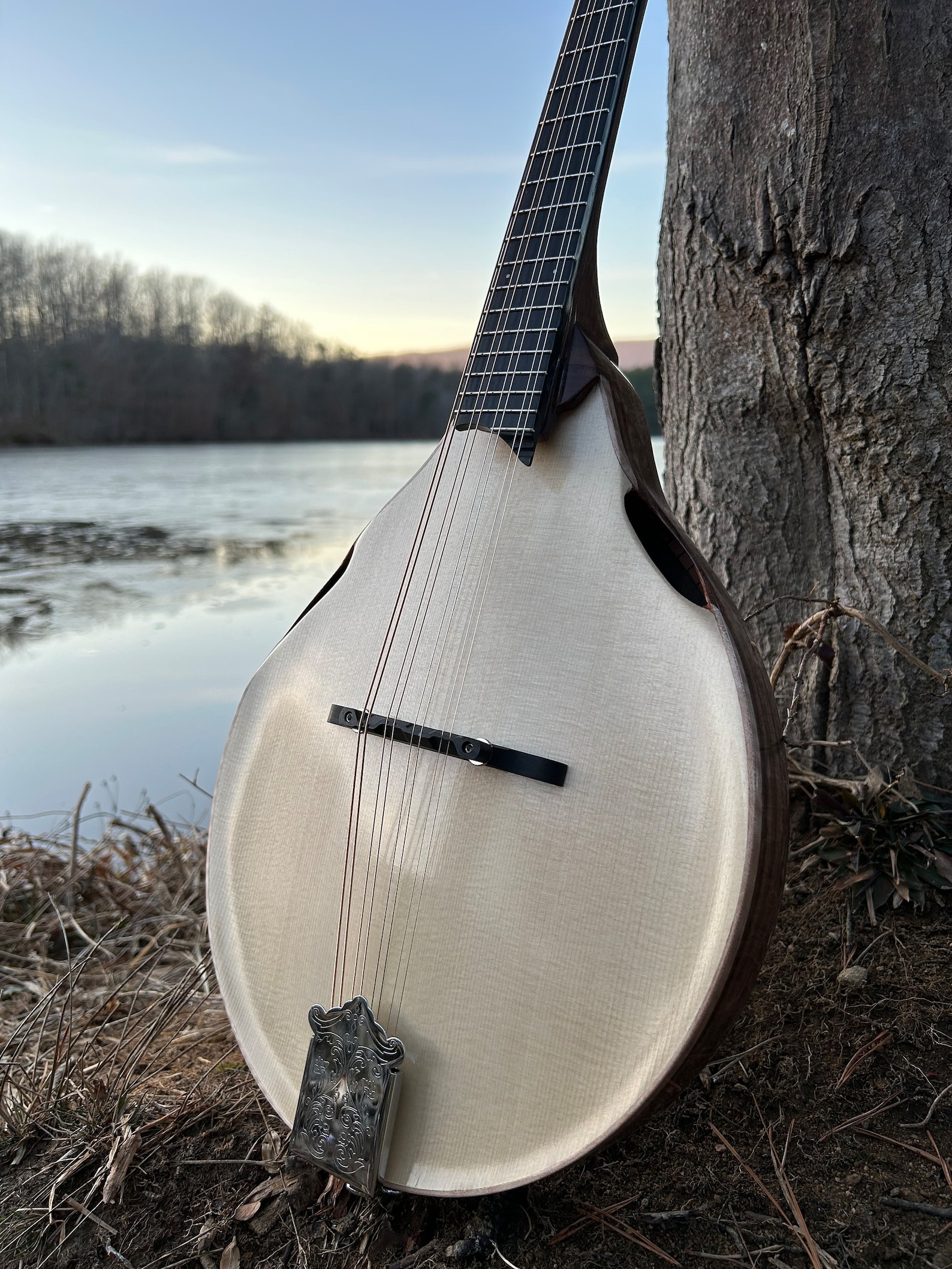 Custom, Handcrafted Mandolin. Dubova Mandolin. - Etsy