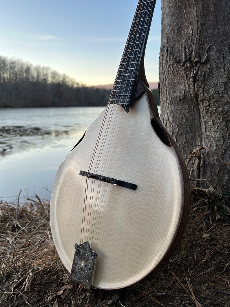 Custom, Handcrafted Mandolin. Dubova Mandolin. - Etsy
