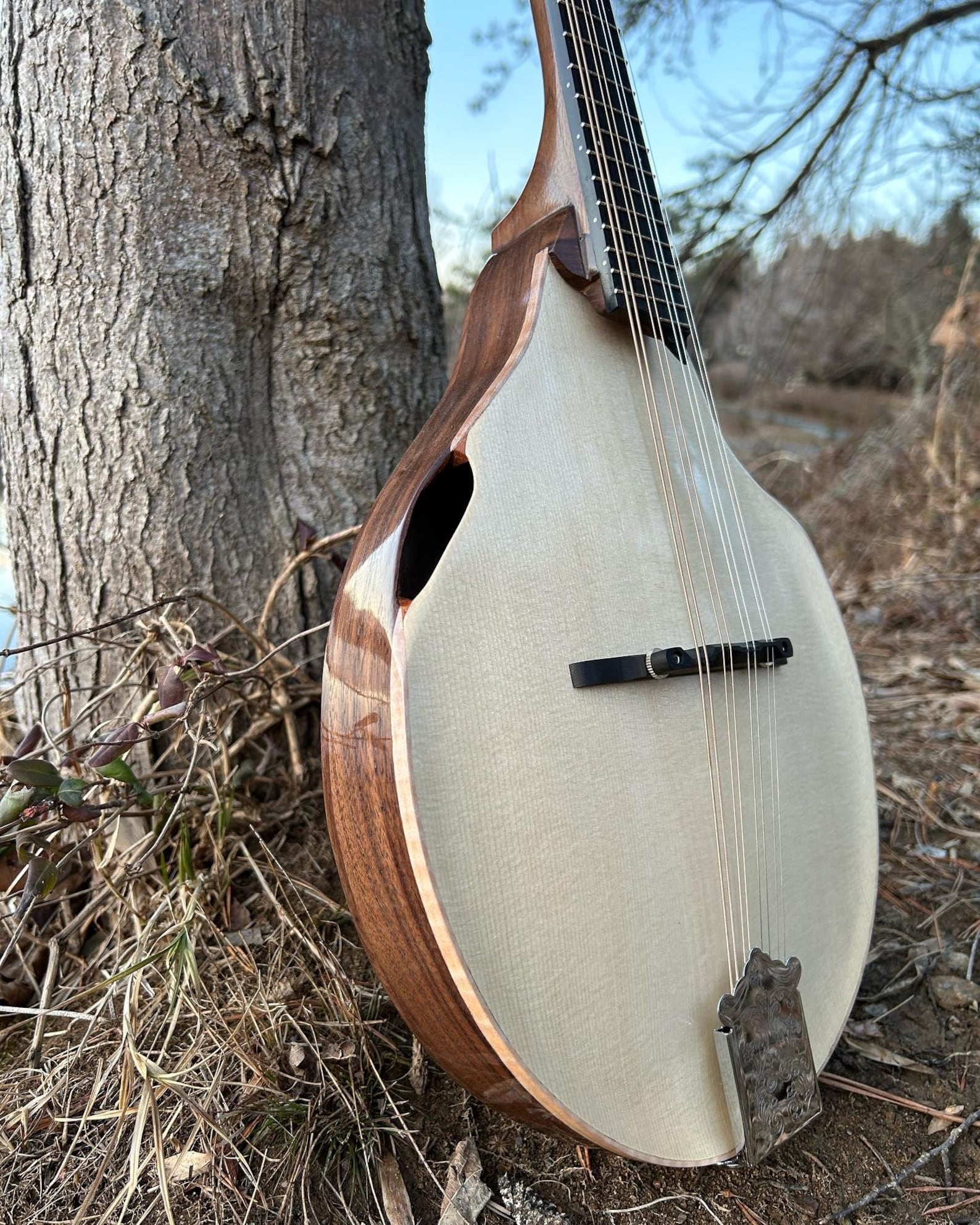 Custom, Handcrafted Mandolin. Dubova Mandolin. - Etsy