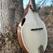 Custom, Handcrafted Mandolin. Dubova Mandolin. - Etsy