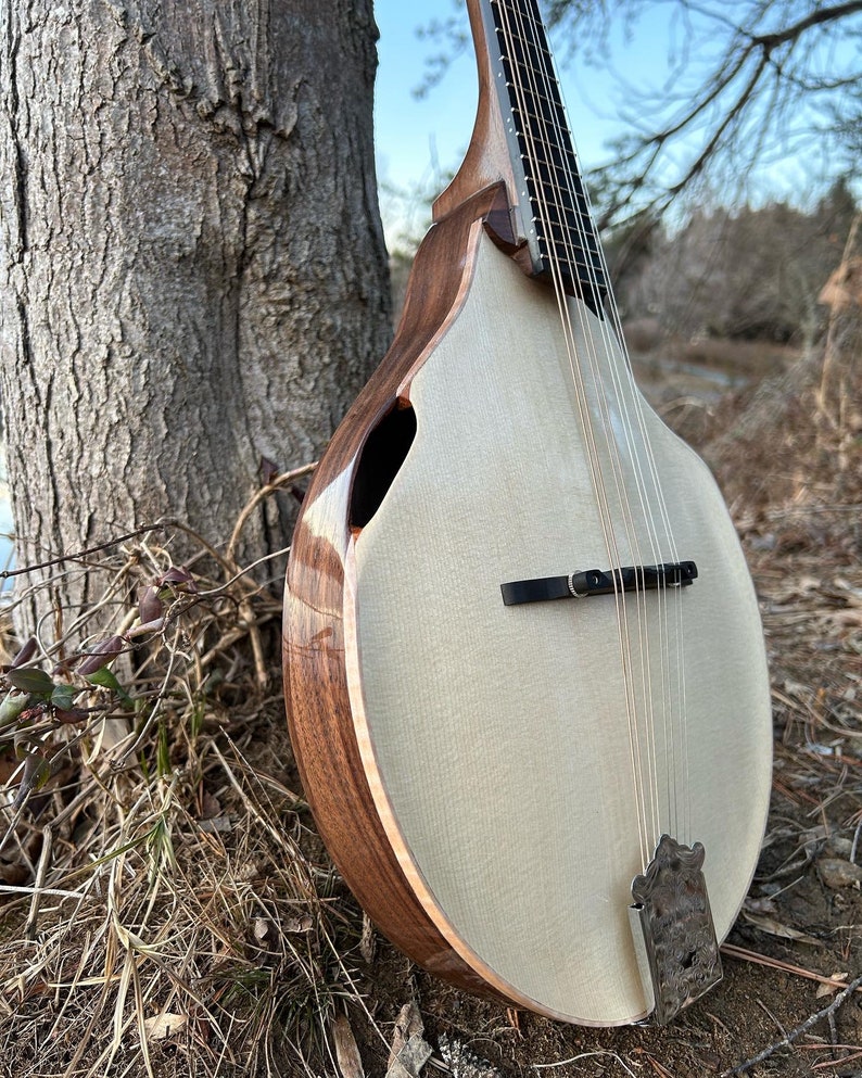 Custom, Handcrafted Mandolin. Dubova Mandolin. - Etsy