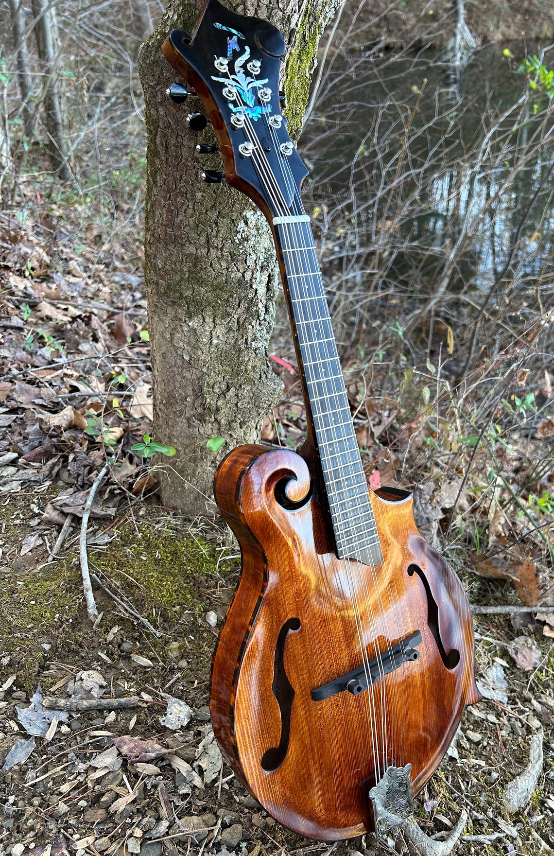 Dubova F-style Mandolin - Etsy
