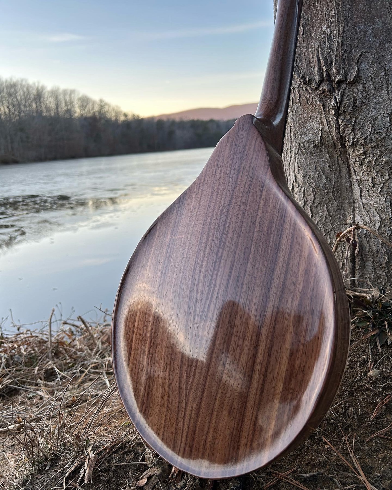 Custom, Handcrafted Mandolin. Dubova Mandolin. - Etsy