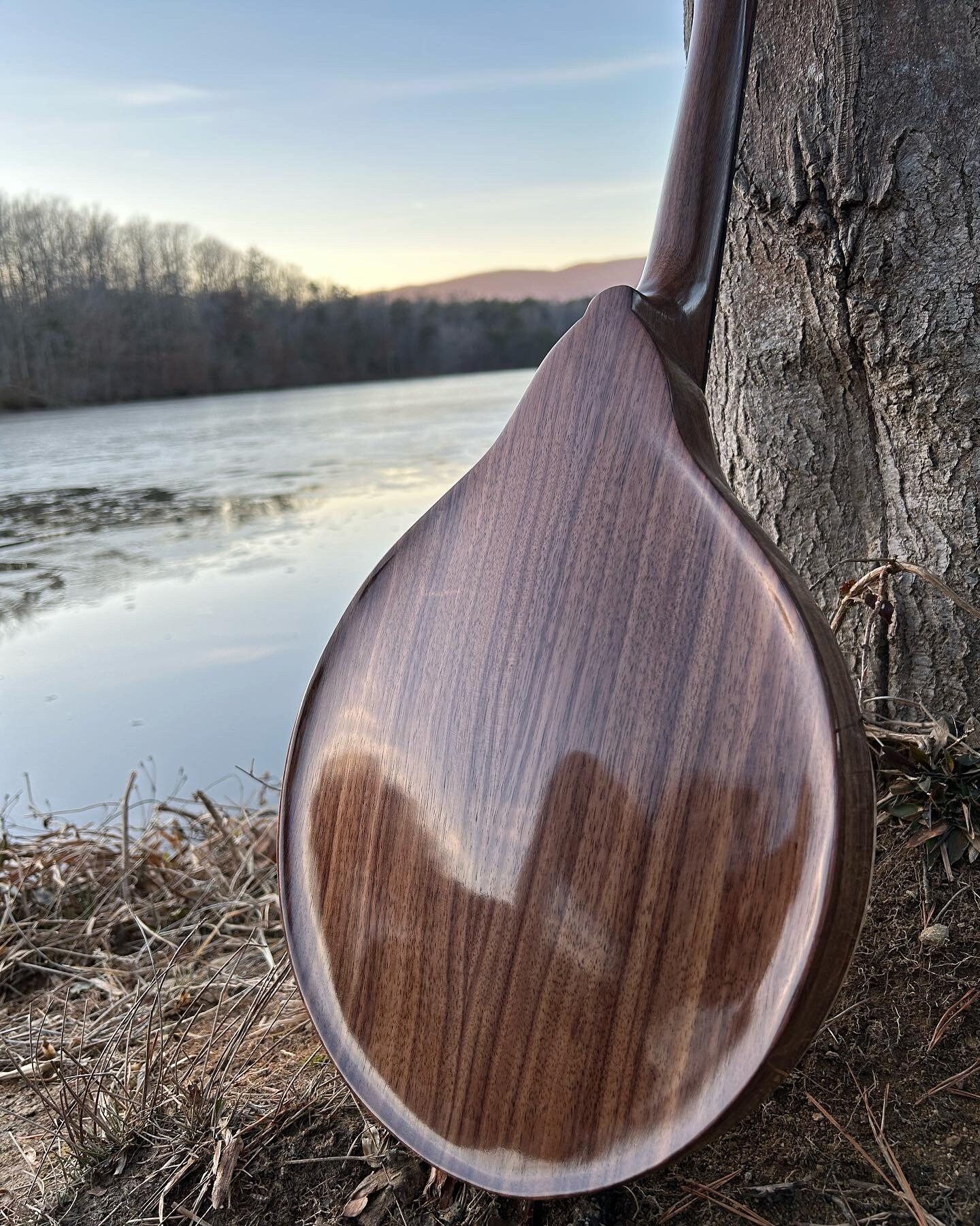 Custom, Handcrafted Mandolin. Dubova Mandolin. - Etsy