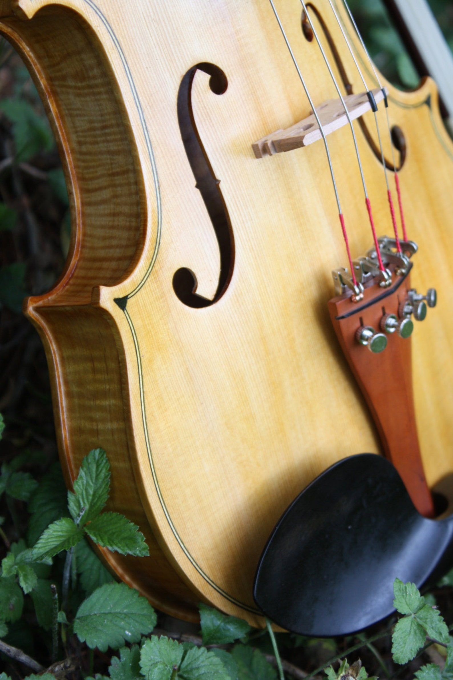 Dubova Violin. Custom Violin. Curly Maple Backboard. Hand made | Etsy