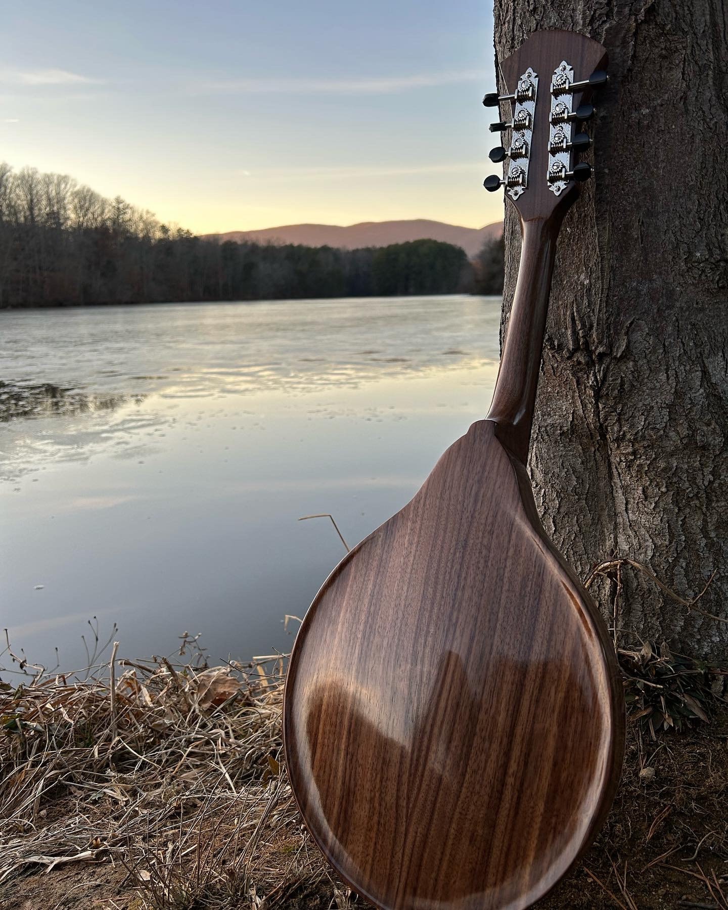 Custom, Handcrafted Mandolin. Dubova Mandolin. - Etsy