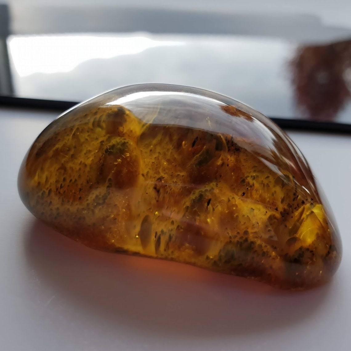 Genuine Natural Baltic Amber Stone Polished Inclusion Weight 19 G No ...