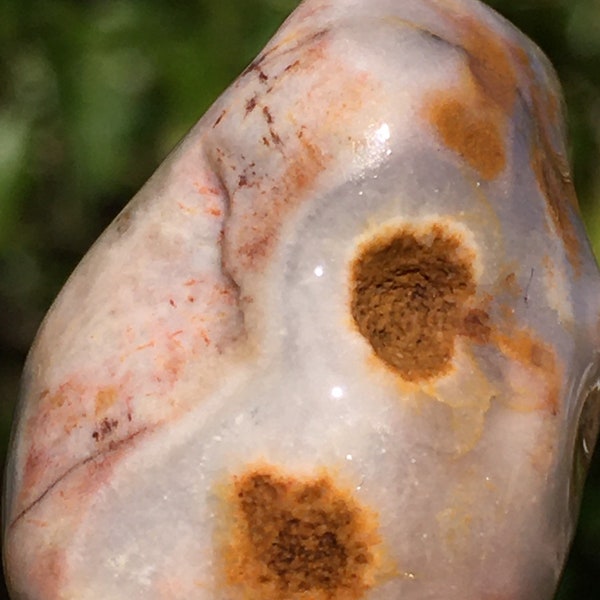 Sagenite Agate - Etsy