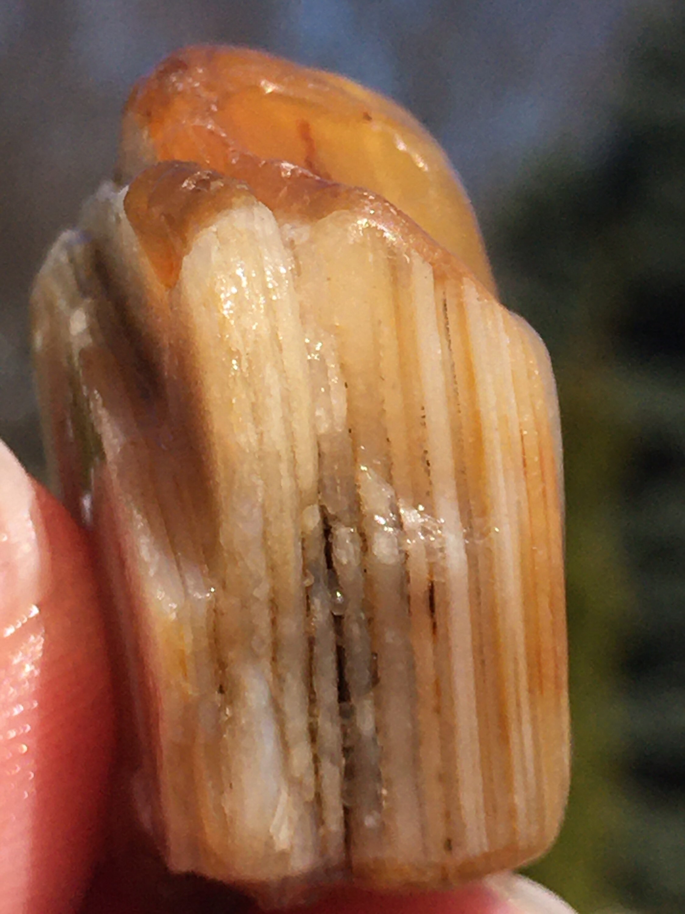 Lake Superior Agate Honey Peeler Water Level Banding .82 oz | Etsy