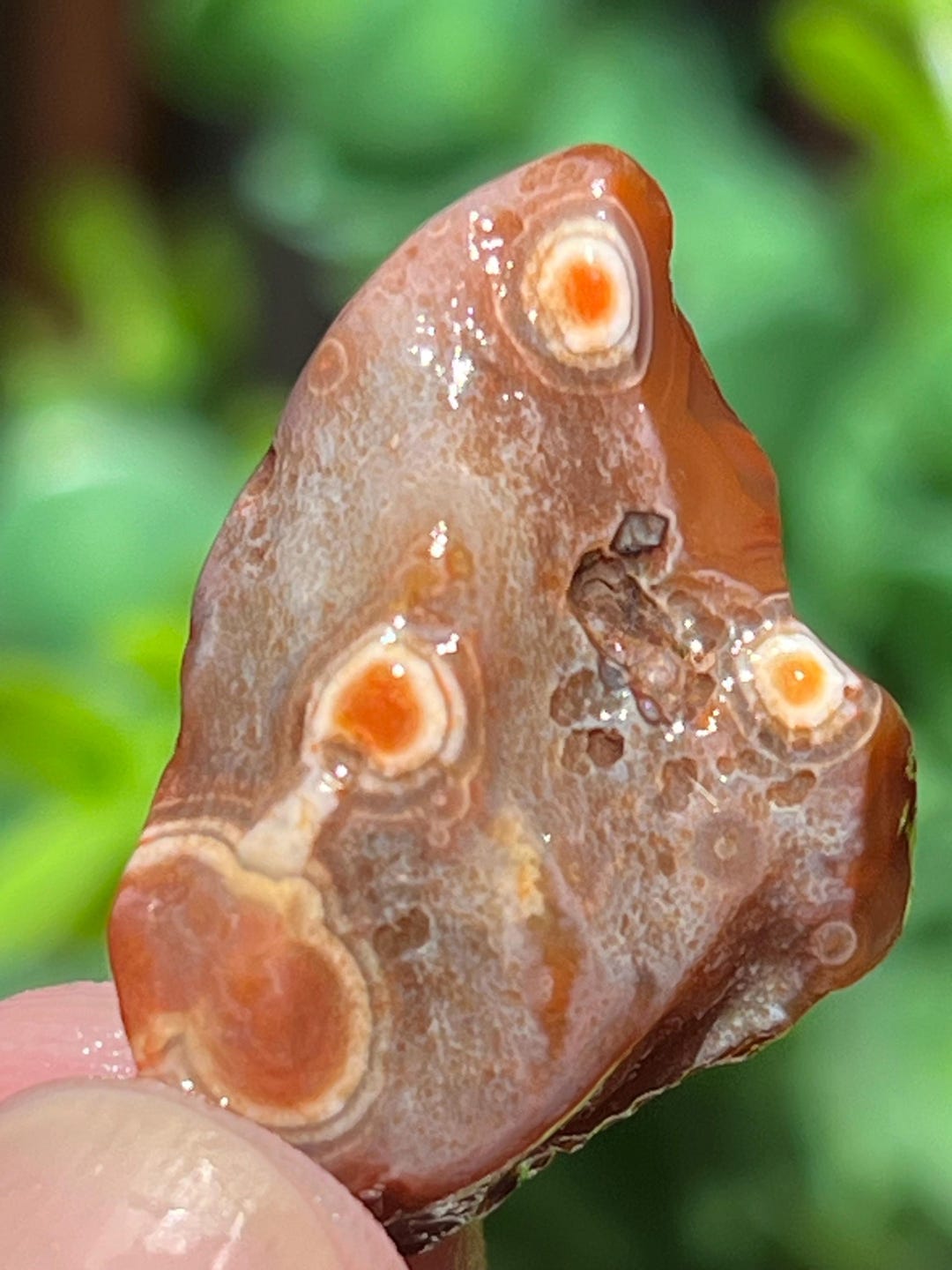 Lake Superior Agate Red White Blue Lavender Eyes Tubes Banding .21 Oz ...