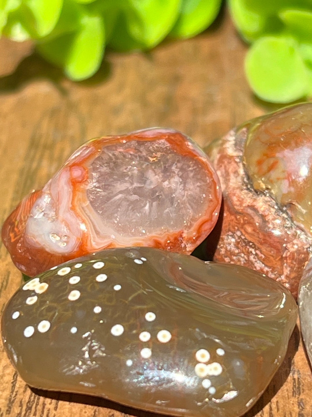 Lake Superior Agates POLISHED: Lot of 7 POLISHED Stones, 3.11 Oz Total ...