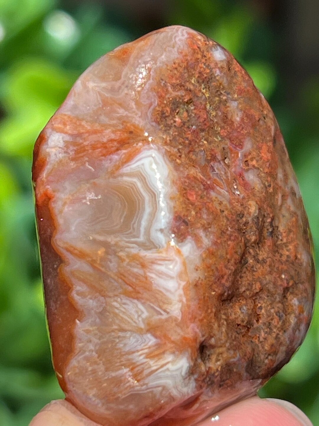 Lake Superior Agate Red White Peach Orange Sagenite Tubes Banding .9 Oz ...