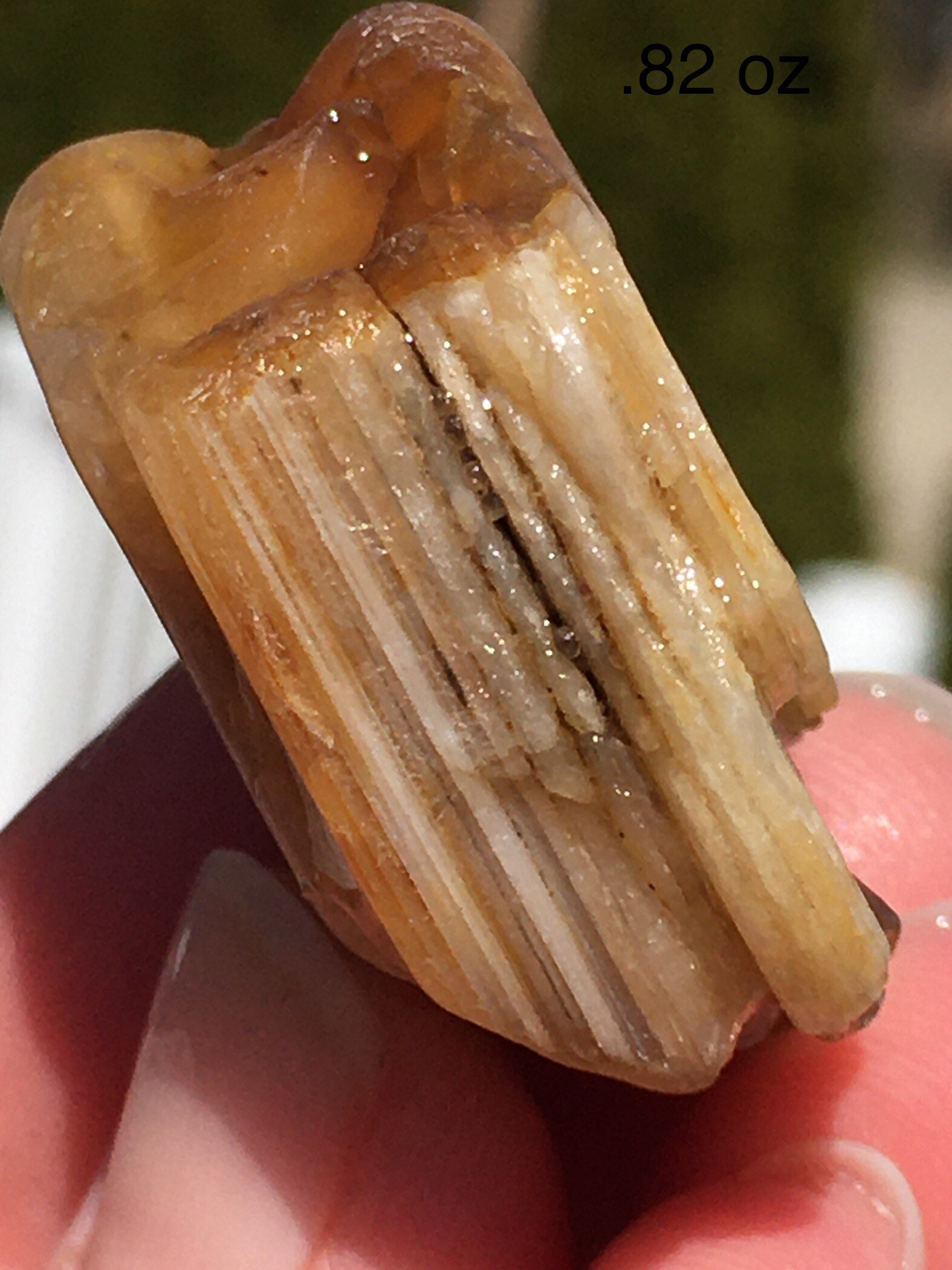 Lake Superior Agate Honey Peeler Water Level Banding .82 oz | Etsy