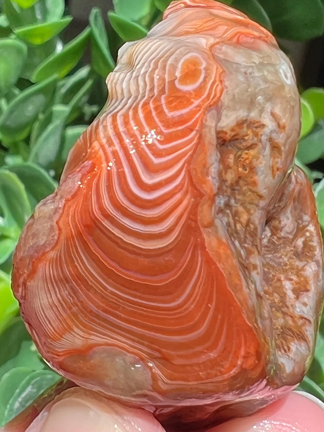 Lake Superior Agate Red White Blue Peel Tubes Banding 1.5 Oz - Etsy