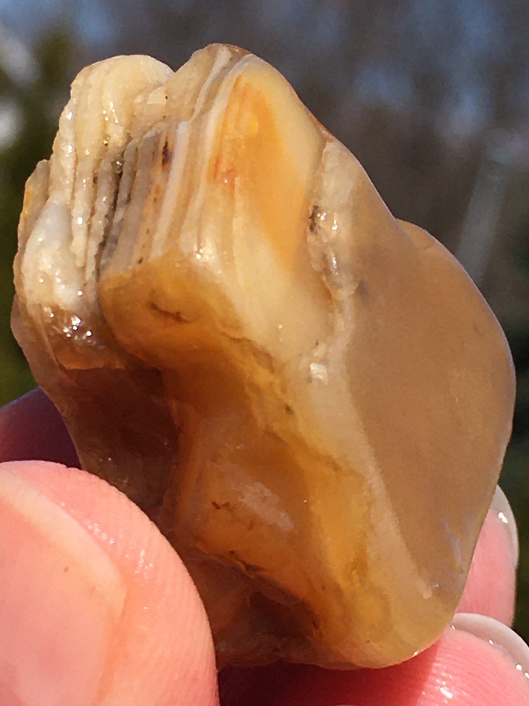 Lake Superior Agate Honey Peeler Water Level Banding .82 oz | Etsy