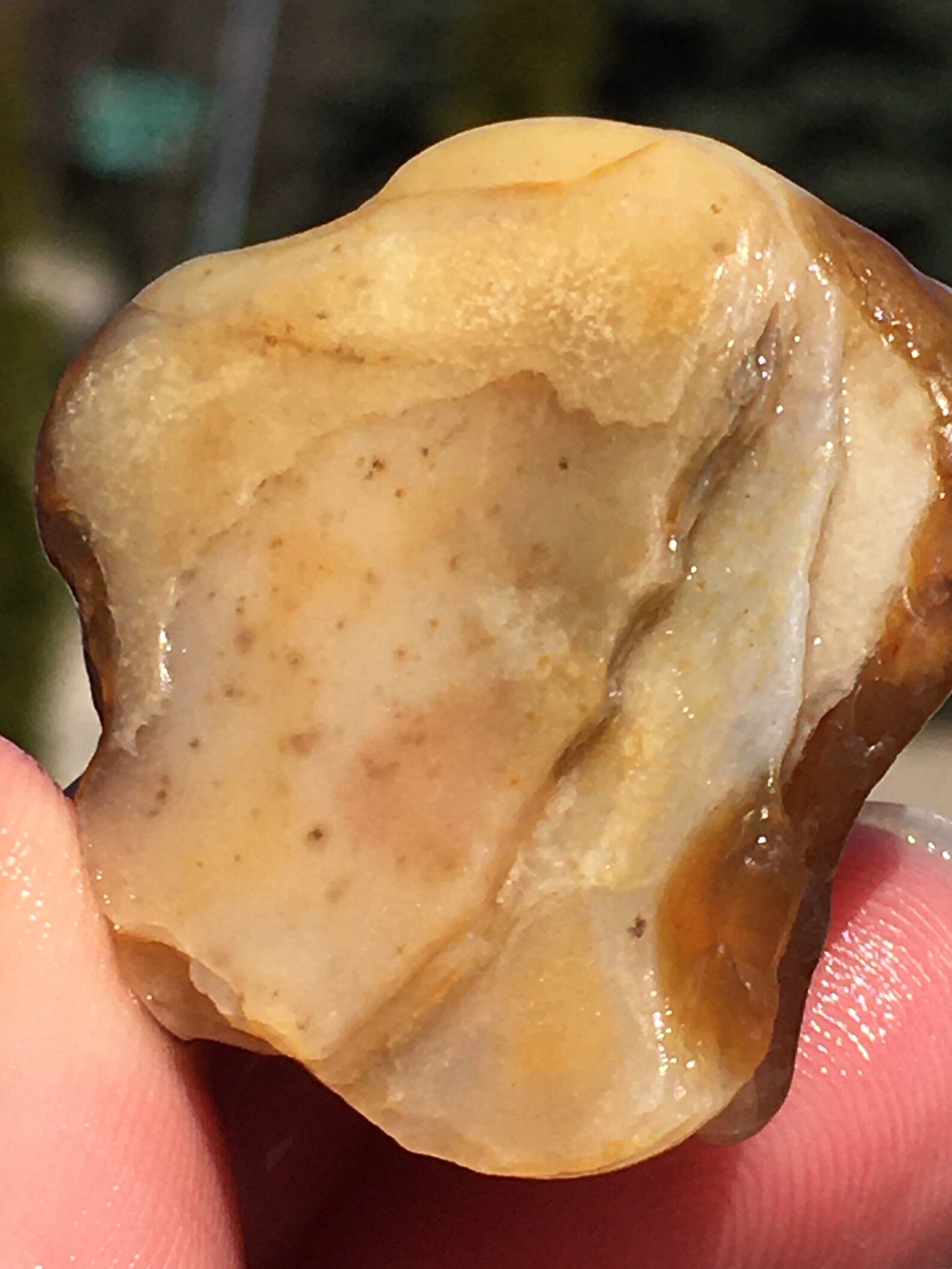 Lake Superior Agate Honey Peeler Water Level Banding .82 Oz | Etsy