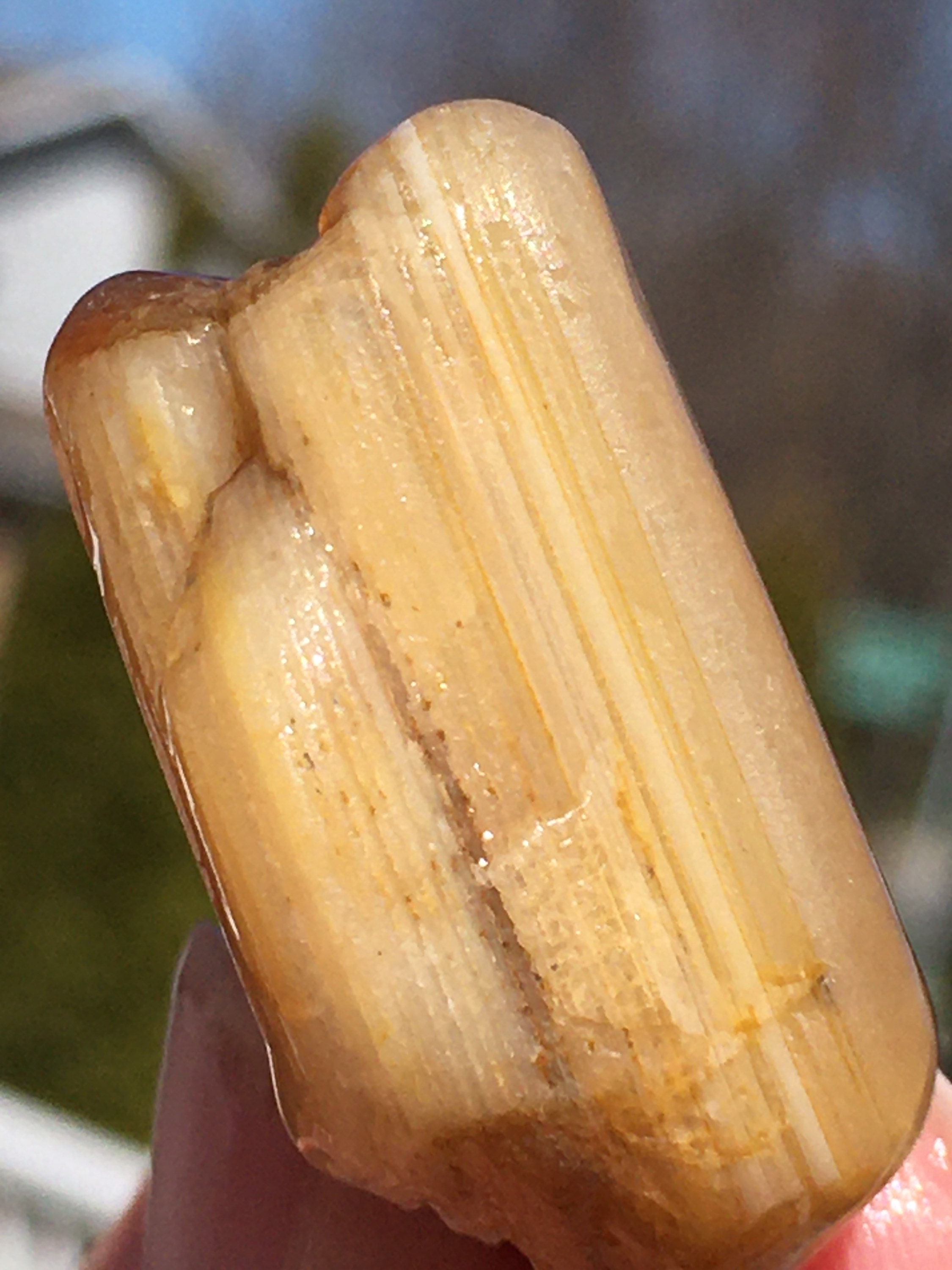 Lake Superior Agate Honey Peeler Water Level Banding .82 oz | Etsy