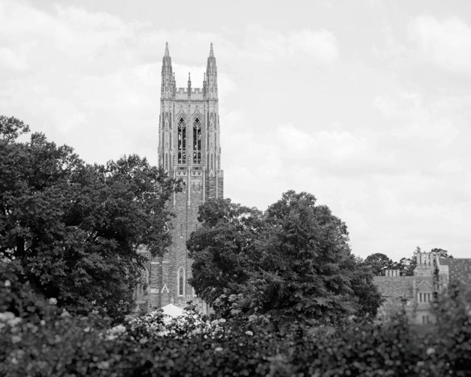 Durham NC Photo Set, Durham Photography, Black and White, Durham Bulls ...