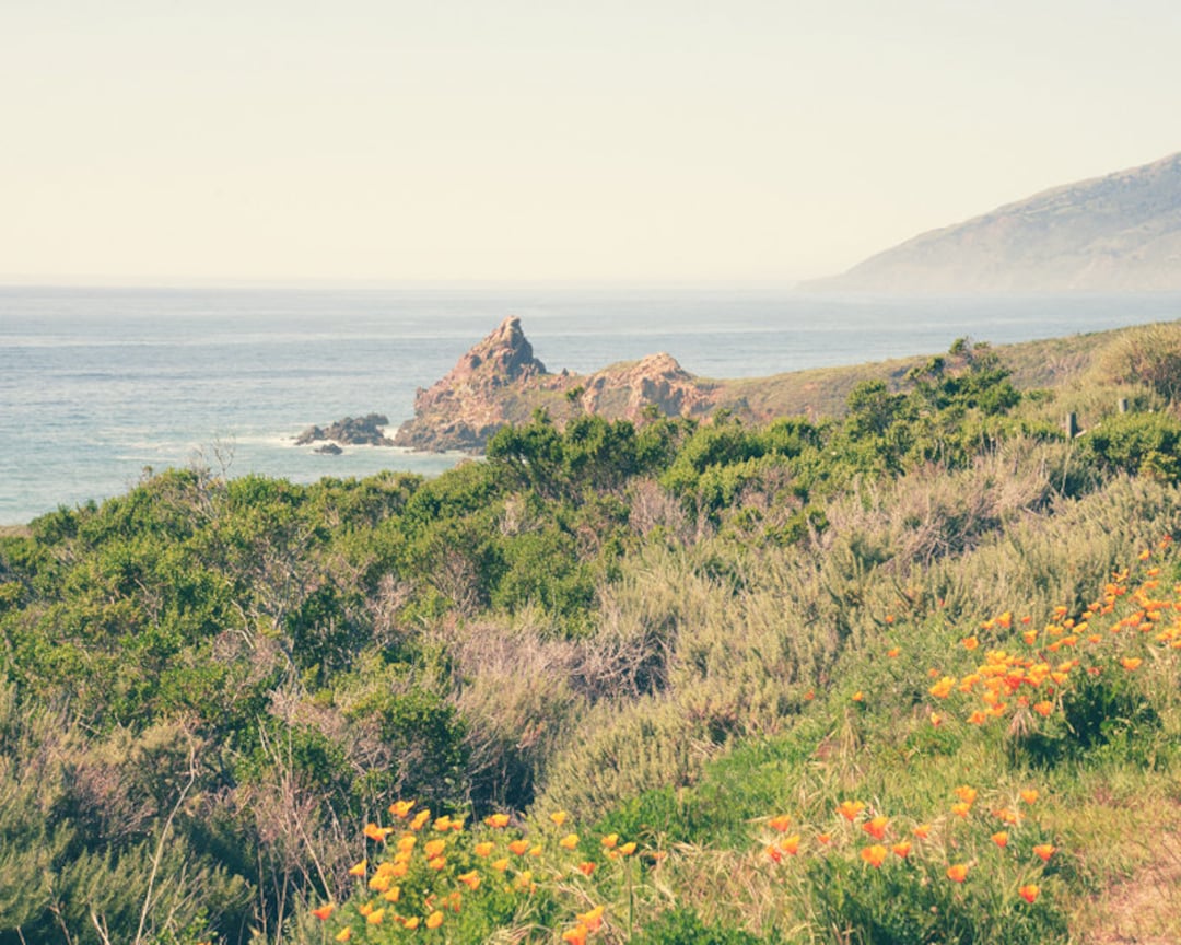 California Coast Photography, Big Sur, Orange Poppies, Landscape ...