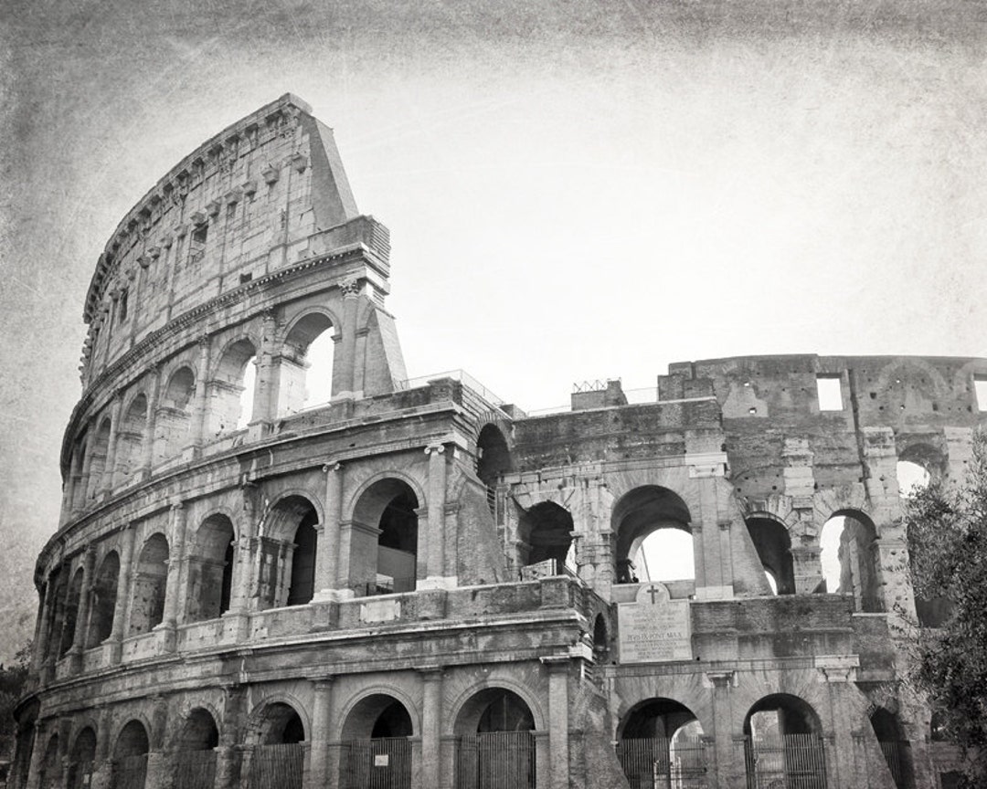 Colosseum Rome Photography Black And White Print Rome Wall Art Rome