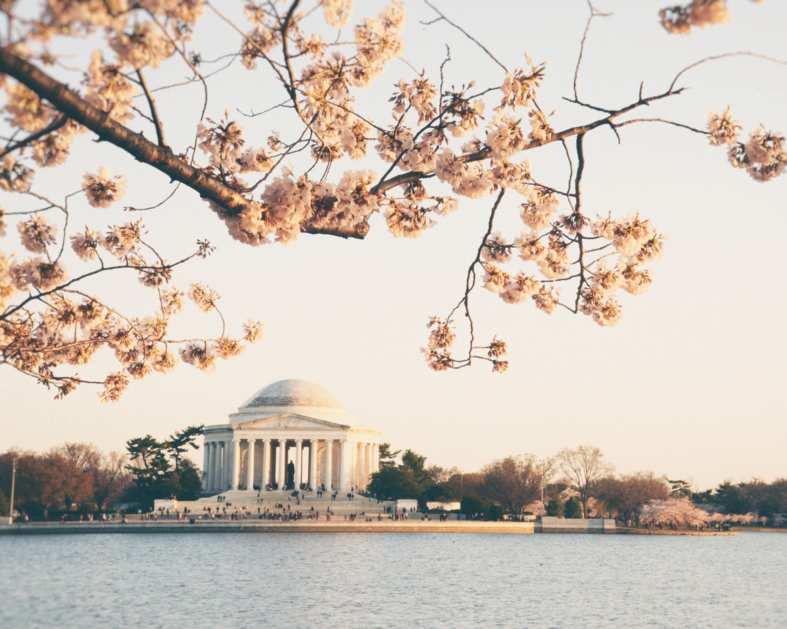 Washington DC Art Washington DC Print Set Wall Art Black - Etsy