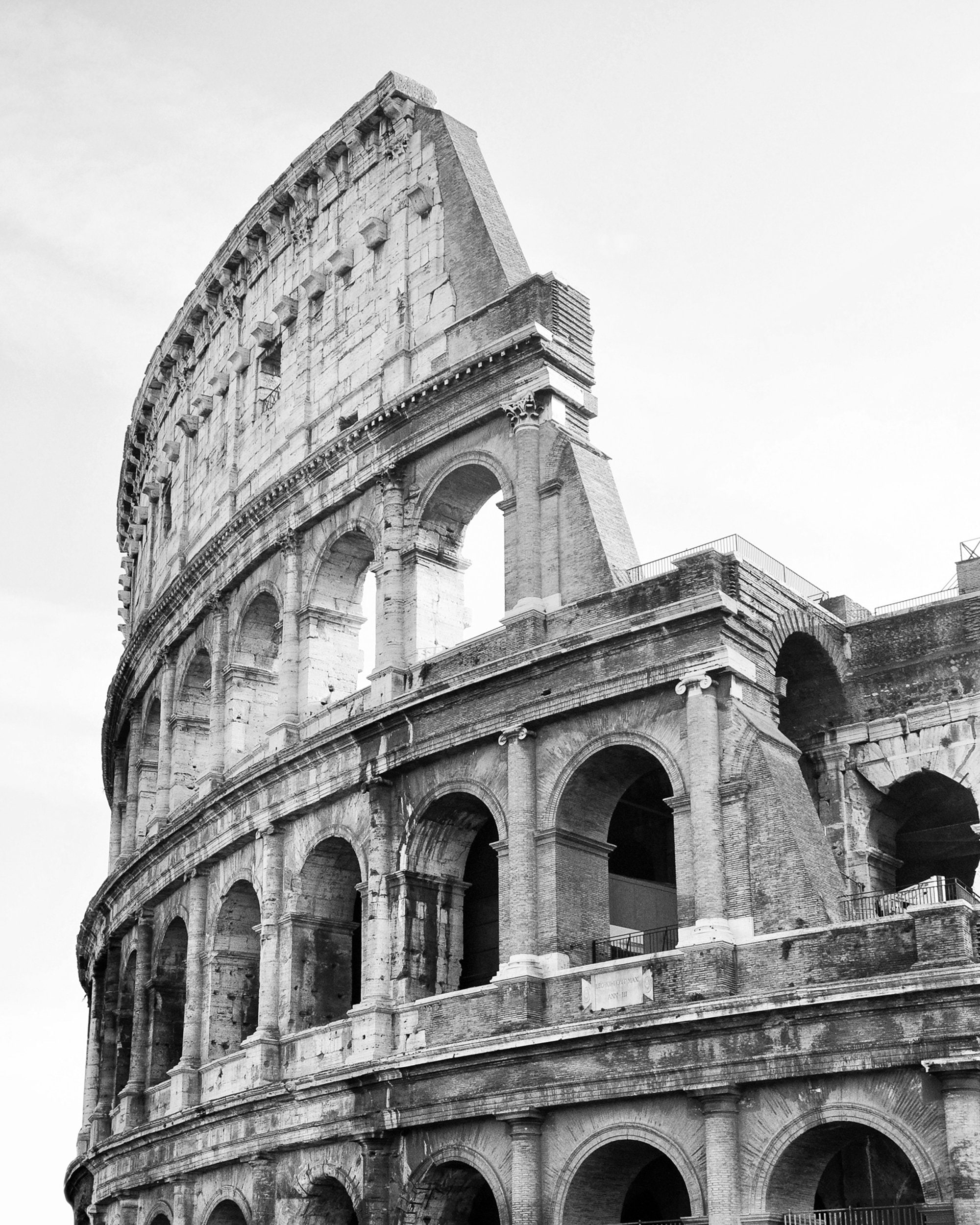 Colosseum Black And White