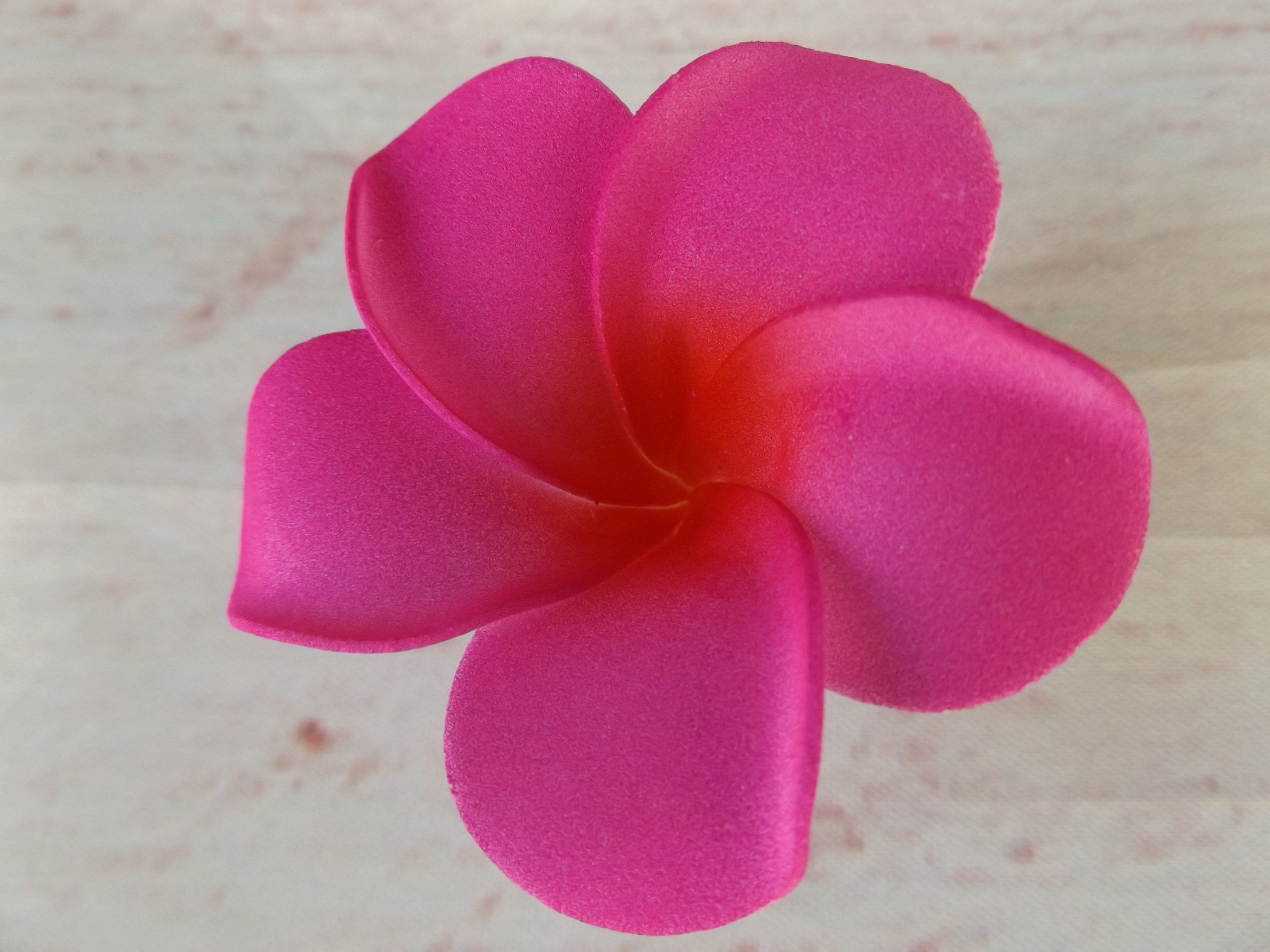 Baby Moana HOT PINK Tropical Frangipani Clip On Hair Pair | Etsy