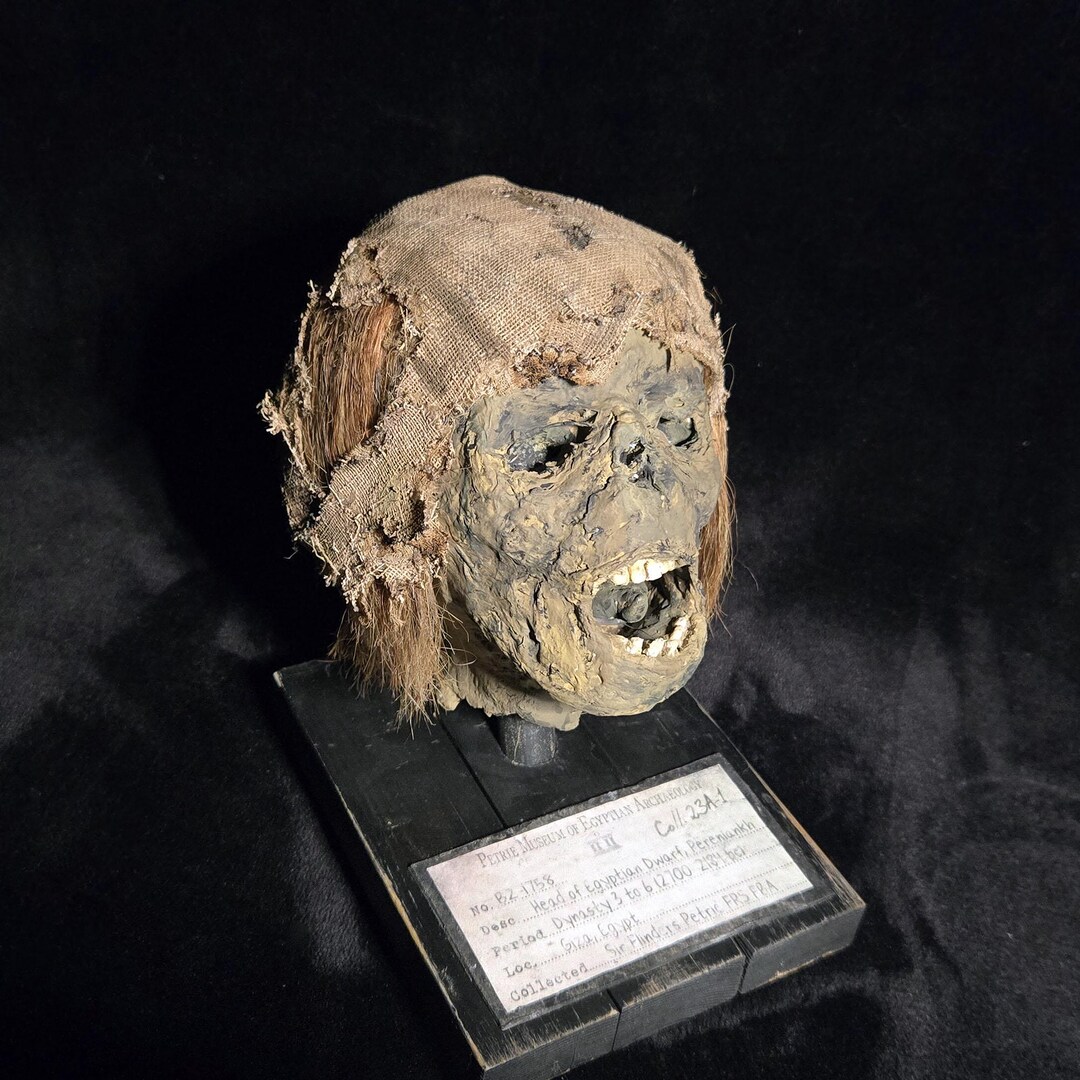 Screaming Dwarf Mummified Head - Etsy
