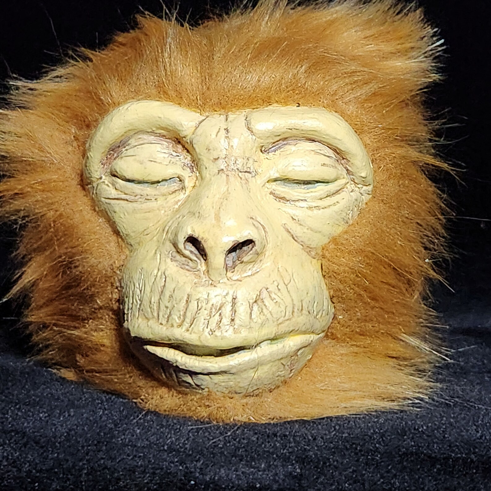 Replica Bonobo Ape Jar Wet Specimen - Etsy