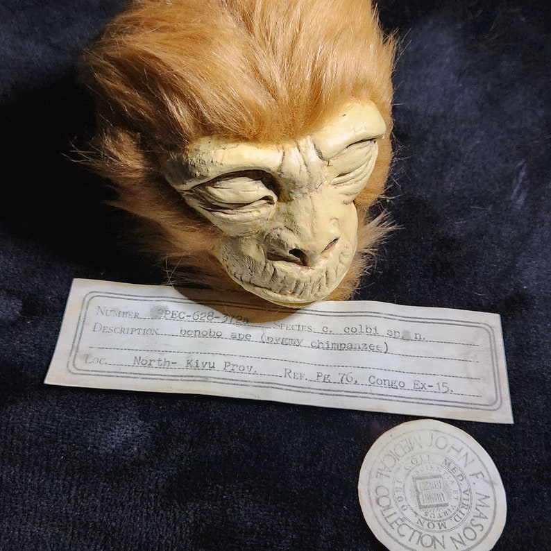 Replica Bonobo Ape Jar Wet Specimen - Etsy