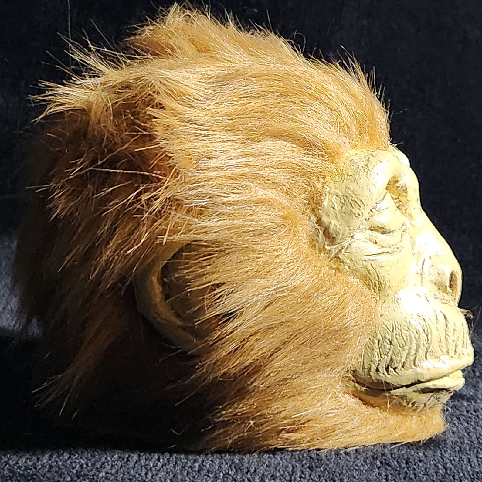 Replica Bonobo Ape Jar Wet Specimen - Etsy