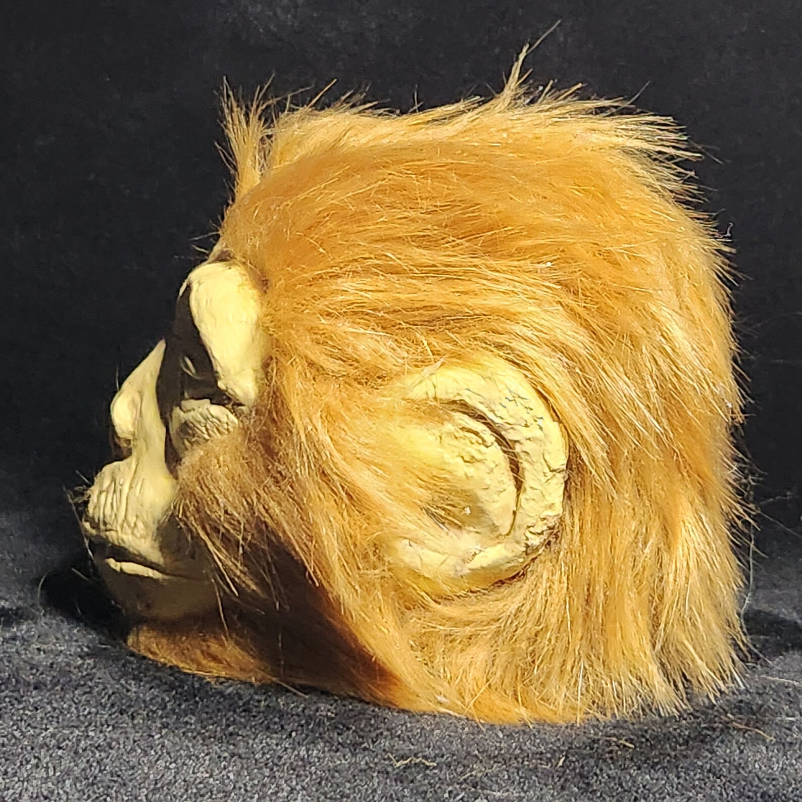 Replica Bonobo Ape Jar Wet Specimen - Etsy