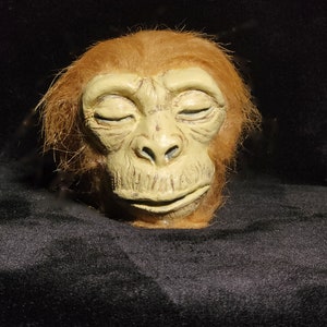 Replica Bonobo Ape Jar Wet Specimen - Etsy