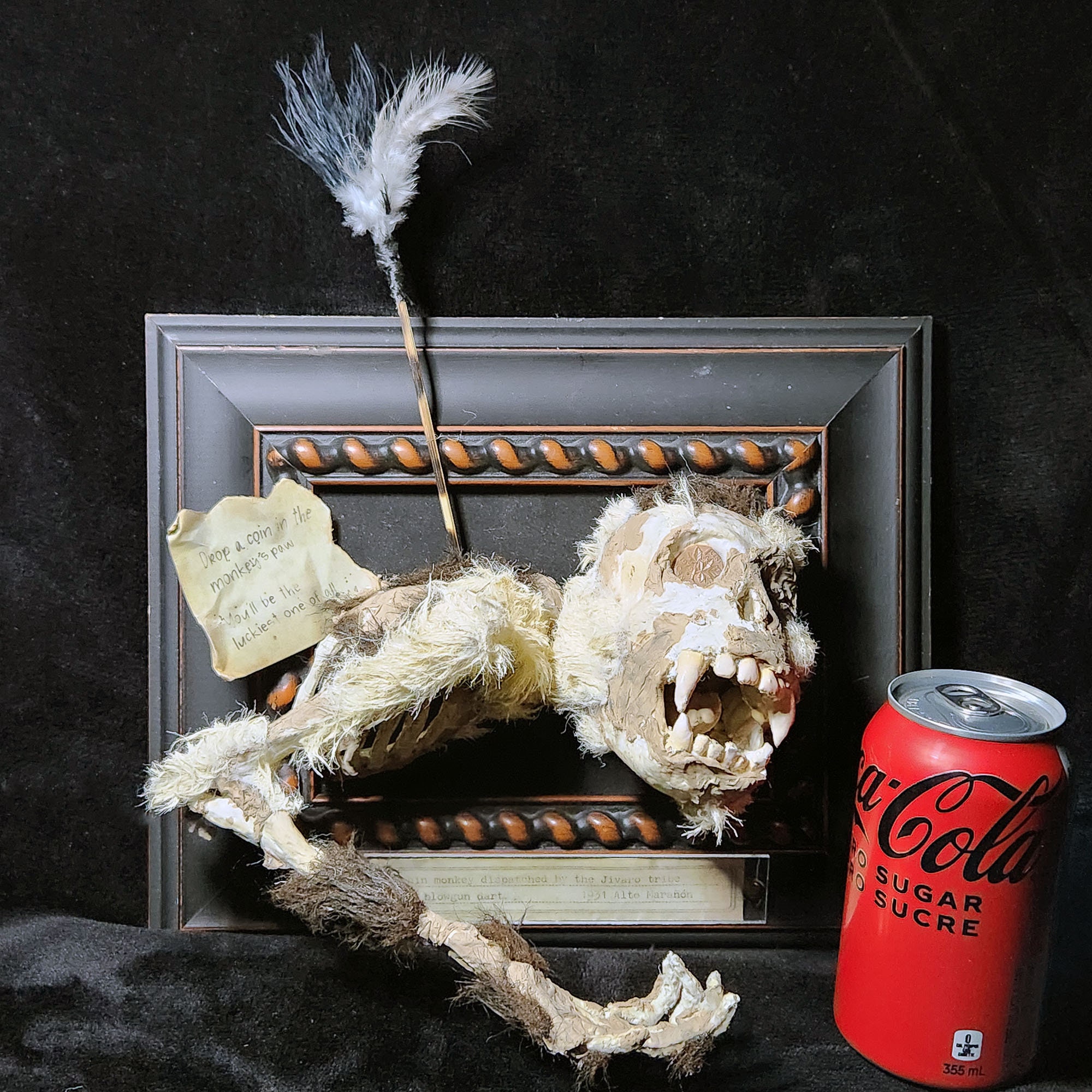 Lucky Capuchin Mummified Monkey Dispatched With Jivaro Blowgun - Etsy