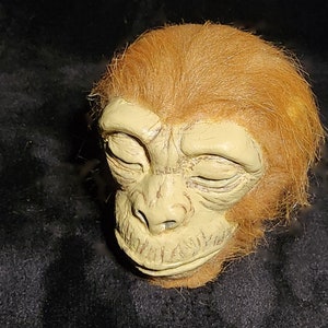 Replica Bonobo Ape Jar Wet Specimen - Etsy