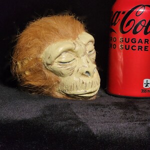 Replica Bonobo Ape Jar Wet Specimen - Etsy