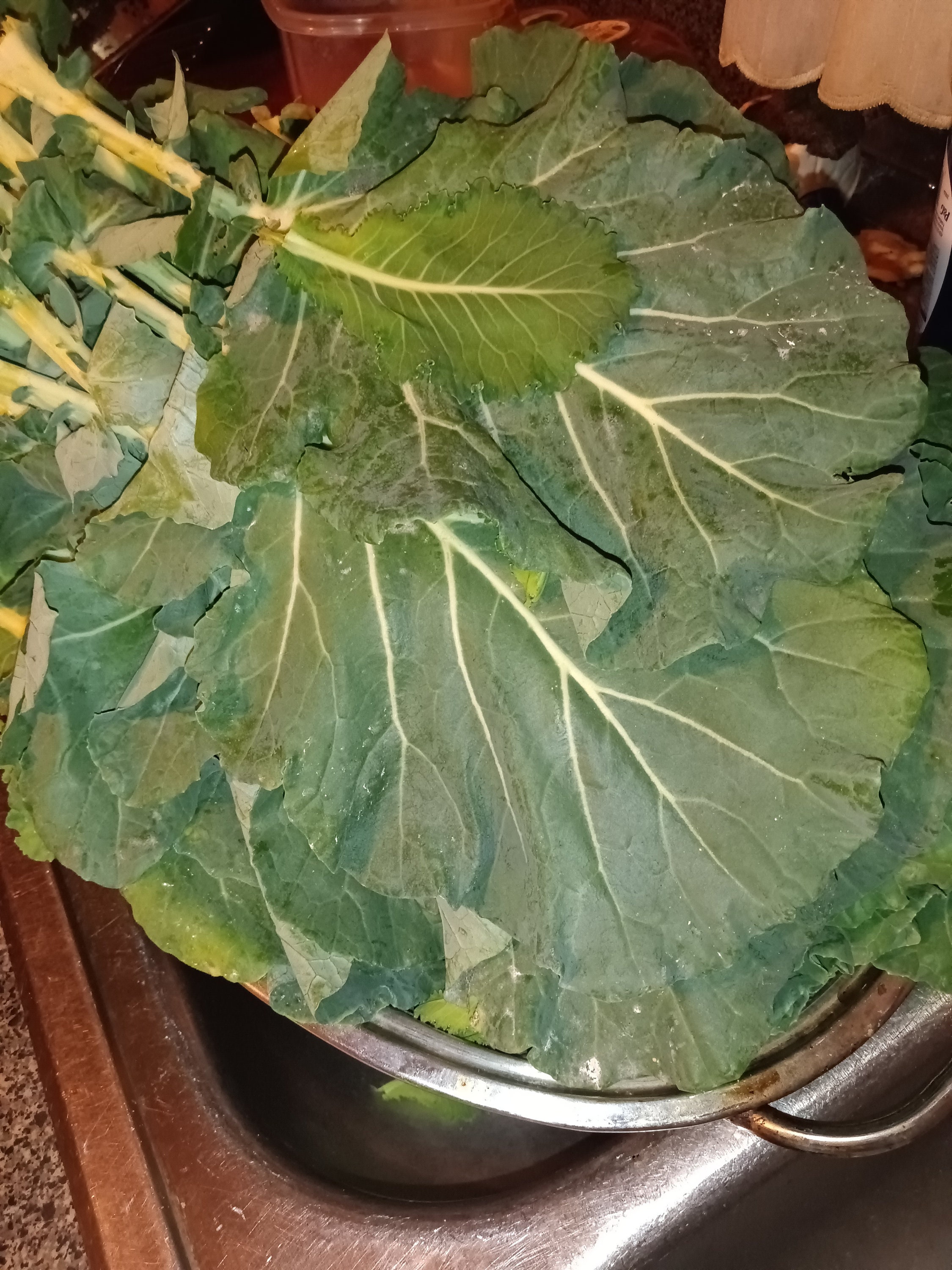 Organic Georgia Collard Green Seed - Etsy